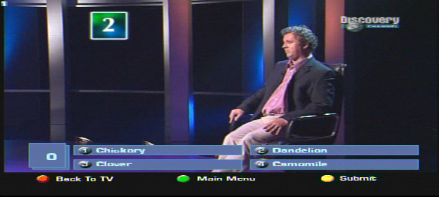 Discovery Interactive: Mastermind 13